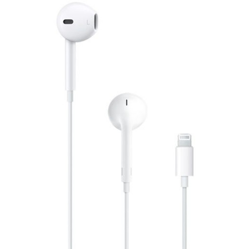 Apple Original In-ear Earphones with Lightning Connector, Control ...