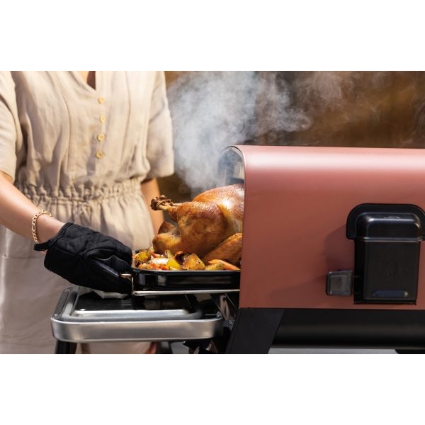 טאבון מעשנה חשמלי חיצוני 8 ב-1 Ninja OO101 WoodFire 2400W - א&א מחשבים ...